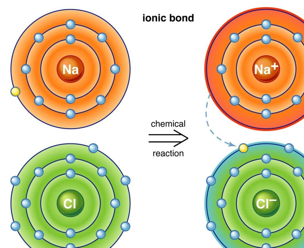 سوالات فصل 2 علوم نهم با جواب - gerdoo learn